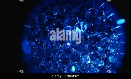Animation of early embryonic development. Conceptual microbiology in ...