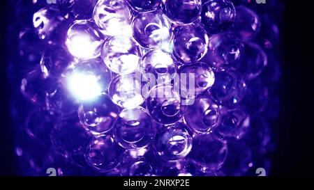 Animation of early embryonic development. Conceptual microbiology in ...