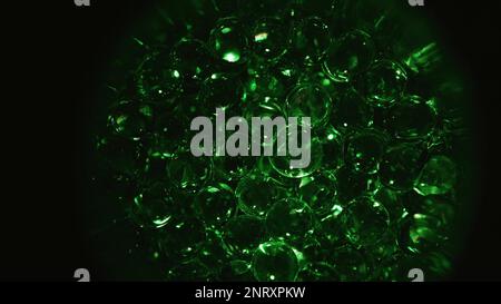 Animation of early embryonic development. Cell division, formation of ...