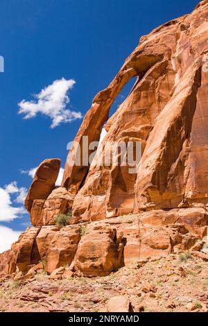Jug Handle arch, a near vertical arch of Wingate sandstone by the ...