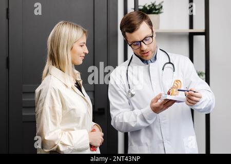 A young attractive otolaryngologist doctor shows a model of the ear and ...
