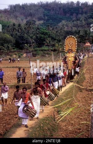 Elephant procession on a narrow rice field border, Pooram festival at ...