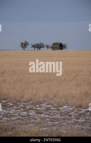 Winter prairie landscape with grassland and barn Stock Photo - Alamy