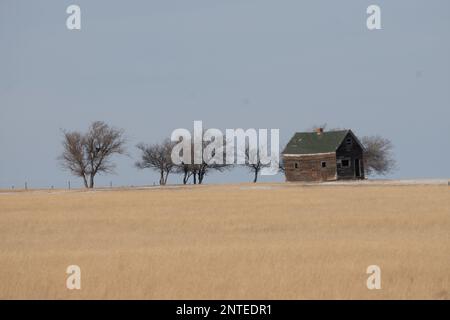 Winter prairie landscape with grassland and barn Stock Photo - Alamy