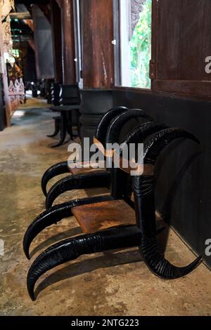 The Horned Guardians: Buffalo Installation in a Mysterious Black Temple ...