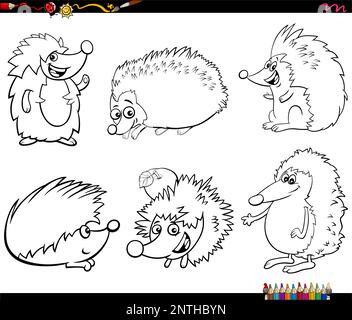 Collection of Vector Cartoon Hedgehog Coloring Page. Set of Kawaii ...