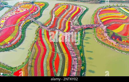 Aerial view of the tulip garden named Dafeng Holland Flowery Sea in ...