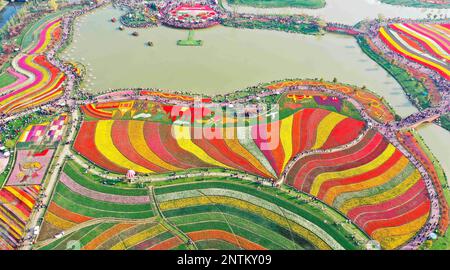 Aerial view of the tulip garden named Dafeng Holland Flowery Sea in ...