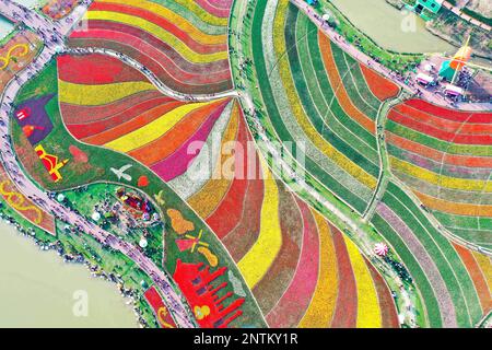 Aerial view of the tulip garden named Dafeng Holland Flowery Sea in ...