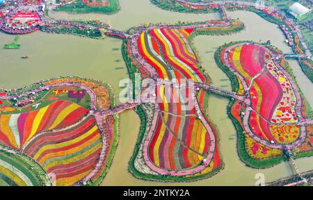 Aerial view of the tulip garden named Dafeng Holland Flowery Sea in ...