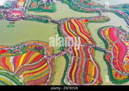 Aerial view of the tulip garden named Dafeng Holland Flowery Sea in ...