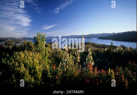 Australia, Tasmania, Southwest NP, world heritage, Lake Pedder as seen ...