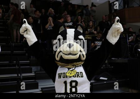 SPARTANBURG,SC- FEBRUARY 09: Wofford College guard Annabelle Schultz (1 ...