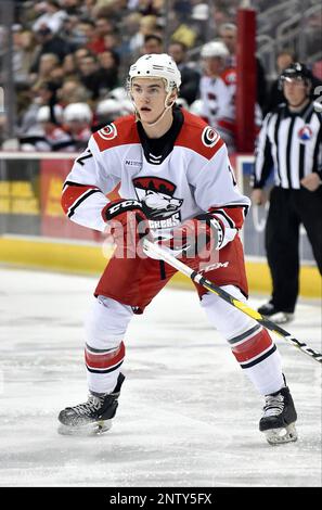 HERSHEY, PA - FEBRUARY 09: Charlotte Checkers center Janne Kuokkanen ...