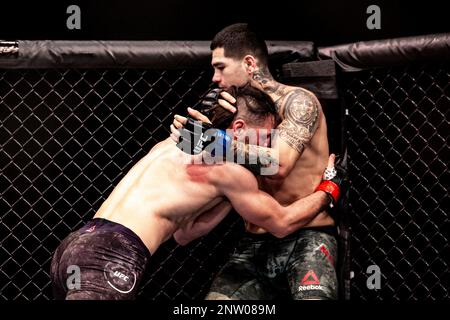 Perez faces Anthony "Fluffy" Hernandez on the UFC Fortaleza Preliminary ...