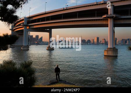 Waterfront of Tokyo, as seen from Daiba Park in Odaiba (artificial ...