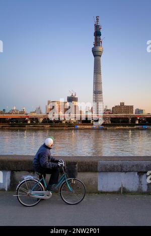 Sky Tree from Sumida Koen Park, Asakusa District, Tokyo, Japan Stock ...
