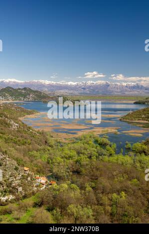 Albania, Shkoder, Lake Skadar, Village Shiroke Stock Photo - Alamy