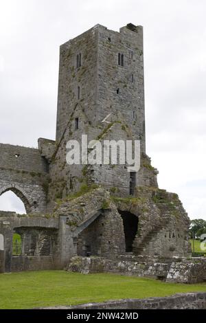 Ireland, County Kerry, Ardfert, Ruins of 12th century Ardfert Cathedral ...