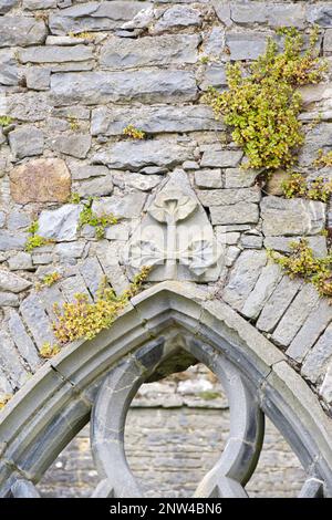 carving detail at Ardfert Abbey, also known as Ardfert Friary County ...