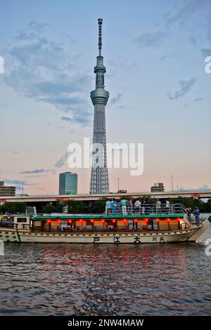 Sky Tree from Sumida Koen Park, Asakusa District, Tokyo, Japan Stock ...