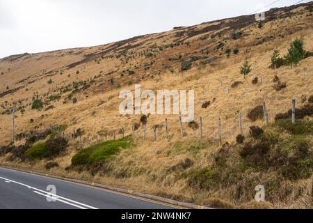 Holmfirth rd, Greenfield,Oldham, Greater Manchester, UK Stock Photo - Alamy