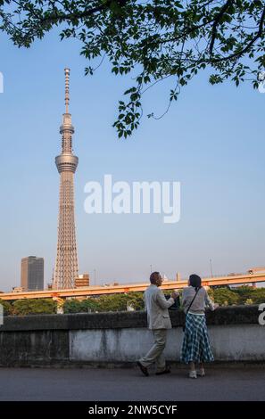 Sky Tree from Sumida Koen Park, Asakusa District, Tokyo, Japan Stock ...