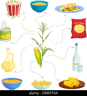 Corn products set with isolated images of raw plant popcorn sticks ...