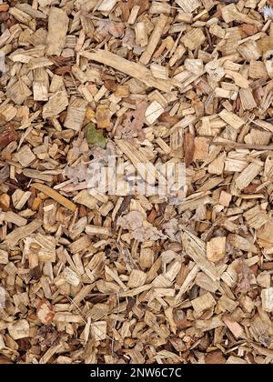 Closeup of the fine texture of brown woodchip Stock Photo - Alamy