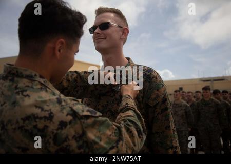 Fleet Marine Force Warfare Insignia, FMF, medical, NMCP, Sailors, U.S ...