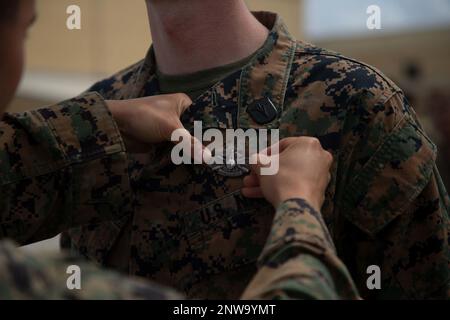 Fleet Marine Force Warfare Insignia, FMF, medical, NMCP, Sailors, U.S ...