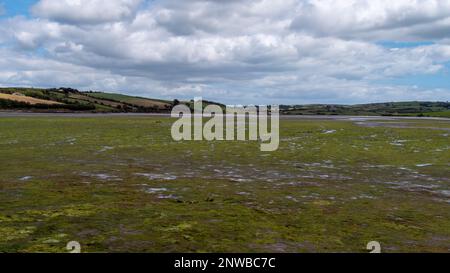 Open seabed, low tide, swamp. Green hill. White clouds in a sky. Irish ...