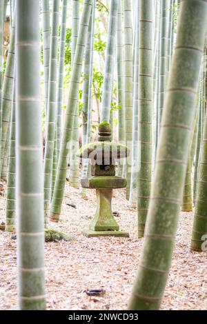 Hokokuji Temple, also known as "Bamboo Temple,” Kamakura, Japan Stock ...