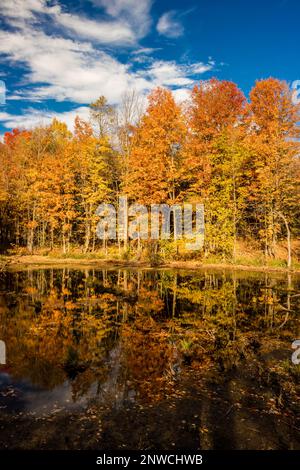 Beautiful Fall imagery from Ontario, Canada Stock Photo - Alamy