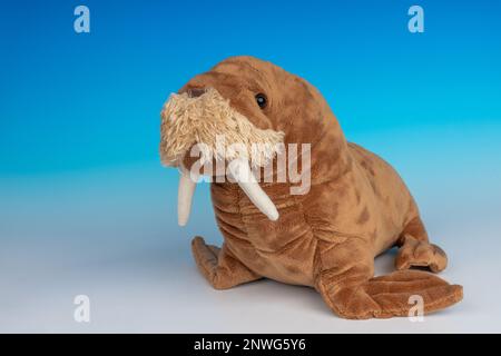 Walrus stuffed animal on a blue and white seamless background Stock ...