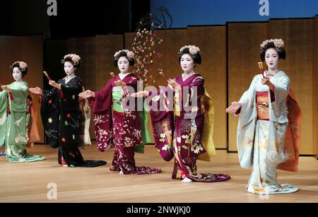 A maiko (geisha) performing Kyomai, a traditional dance in Kyoto Stock ...