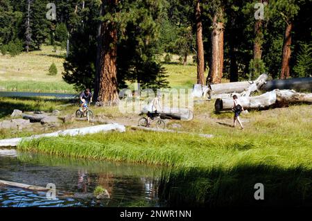 Walton Lake, Ochoco National Forest, Oregon Stock Photo - Alamy