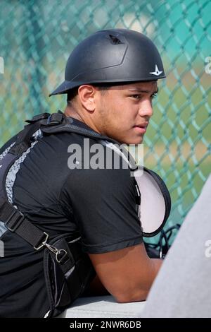 Pittsburgh Pirates catcher Axiel Plaz poses for a photo on February 10 ...