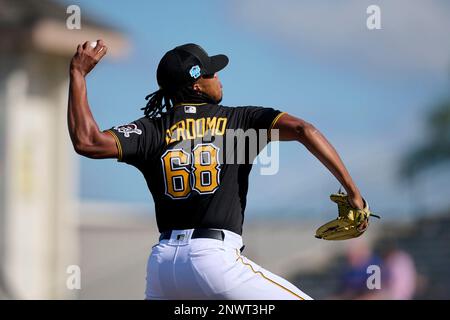 Pittsburgh Pirates pitcher Angel Perdomo (68) during a spring training ...