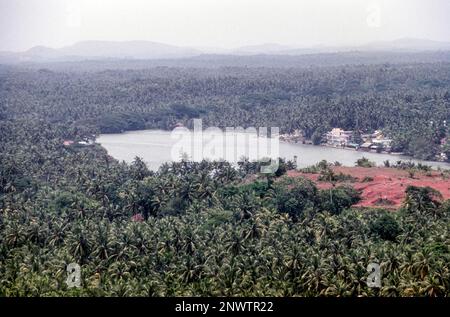 Coconut trees around Mahi in Puducherry or Pondicherry (union territory ...