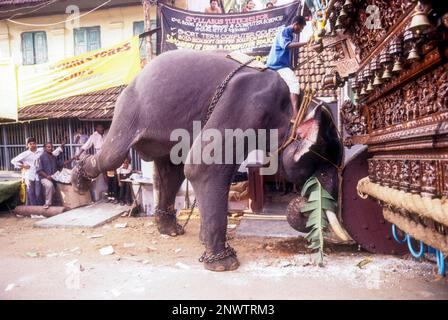 Elephant pushing the chariot in Radhotsavam or temple chariot festival ...