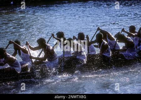 Snake chundan vallam Boat Racing at Alappuzha Alleppey, Kerala, South ...