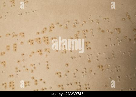The Braille system, developed by Louis Braille in 1829, revolutionized ...