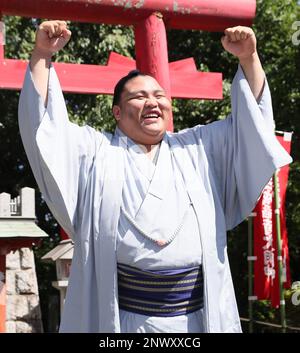 Japanese Sekiwake Mitakeumi poses for photographers at a shrine in ...