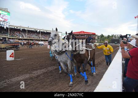 GMC Rangeland Derby Chuckwagon Racing at the Calgary Stampede ...