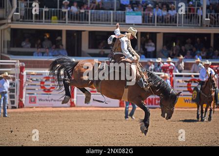 Saddle bronc rider Cody DeMoss from Heflin, La., waves to the crowd ...