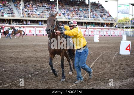 GMC Rangeland Derby Chuckwagon Racing at the Calgary Stampede ...
