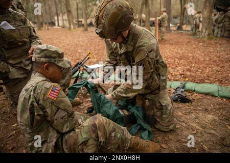 A U.S. Expert Infantry Badge (EIB)/Expert Soldier Badge (ESB ...