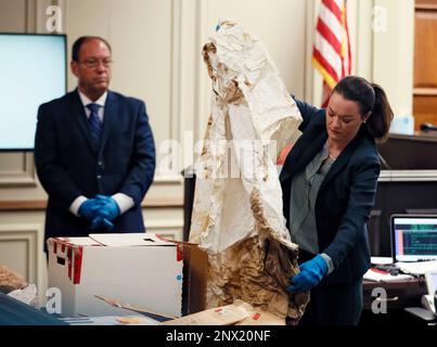 Larry Peterson, a GBI forensic investigator, testifies about photos ...