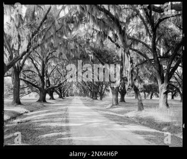 Tomotley, Sheldon, Beaufort County, South Carolina. Carnegie Survey of ...